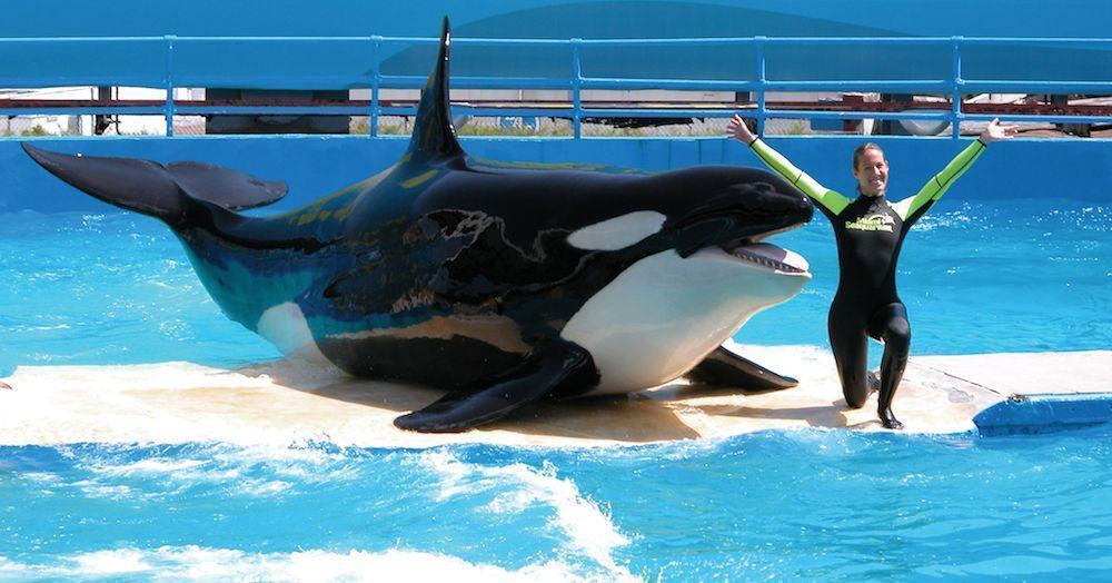 15 lugares e programas legais para conhecer em Miami e arredores