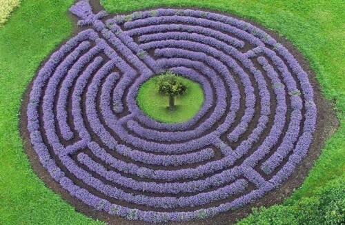 21 magníficos labirintos no mundo para você se divertir