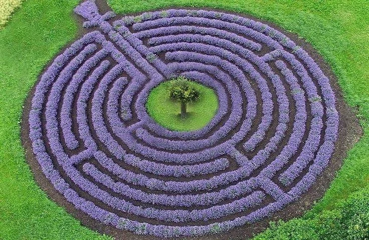 21 magníficos labirintos no mundo para você se divertir