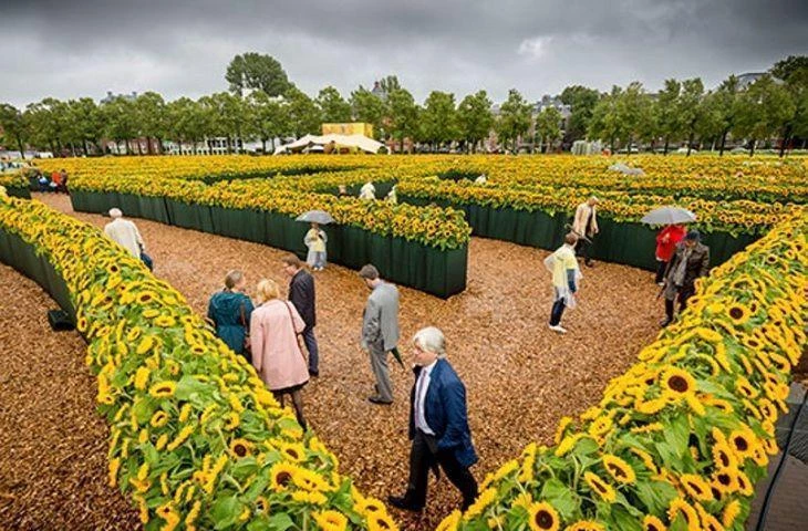 21 magníficos labirintos no mundo para você se divertir