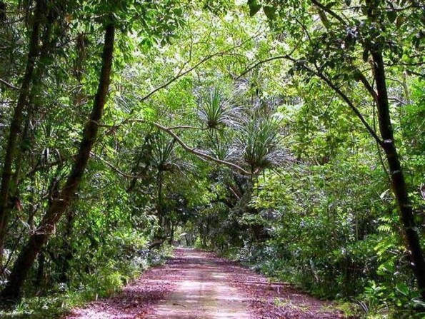 20 fotos de Palau, um destino de férias totalmente encantador
