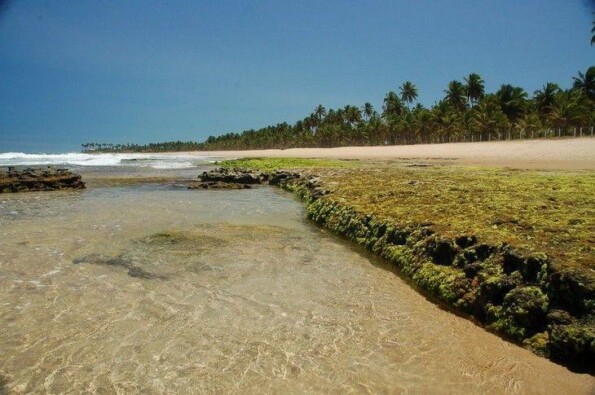 13 praias tranquilas no Brasil para quem não curte aglomeração