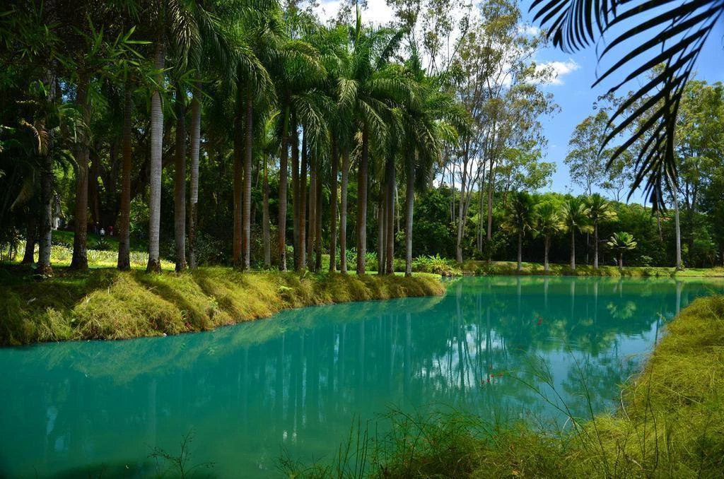 Guia: confira o roteiro completo de viagem a Inhotim