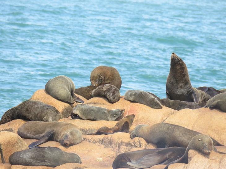 7 motivos para conhecer as belezas de Cabo Polônio