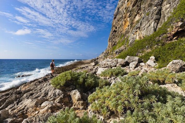 Ilhas Cayman: 15 atrativos turísticos imperdíveis na ilha