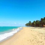 Praia do Gunga: onde fica, dicas, pousadas e FOTOS