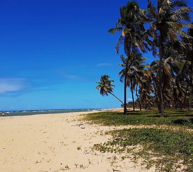 Praia do Gunga: onde fica, dicas, pousadas e FOTOS