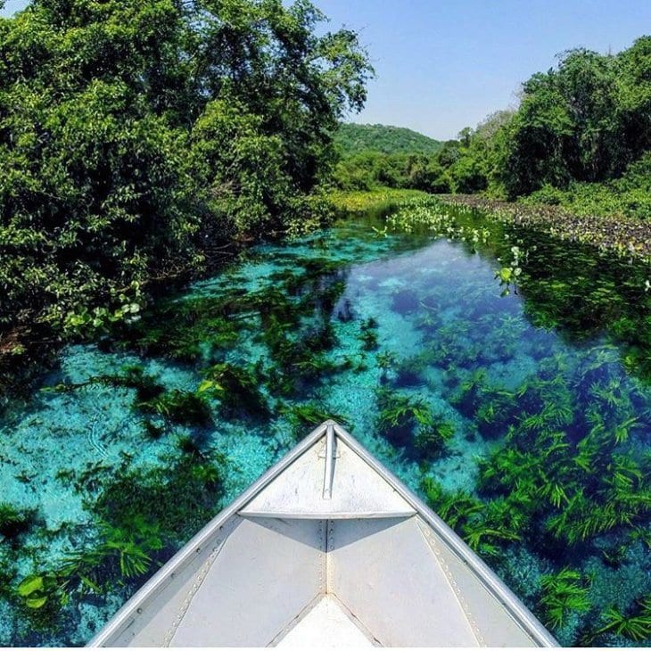 Bonito (MS): tudo o que você precisa saber para montar o seu guia de viagem