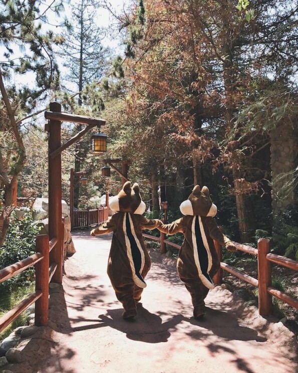 Disney Califórnia: um guia completo para você programar a sua viagem