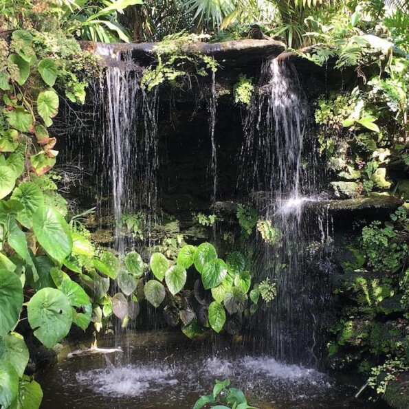 Miami: tudo o que você precisa saber sobre o destino preferido dos ...