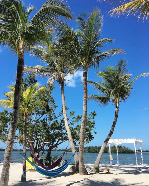 Miami: tudo o que você precisa saber sobre o destino preferido dos ...
