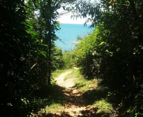Praia do Rosa (SC): mapa, o que fazer e MELHORES pousadas