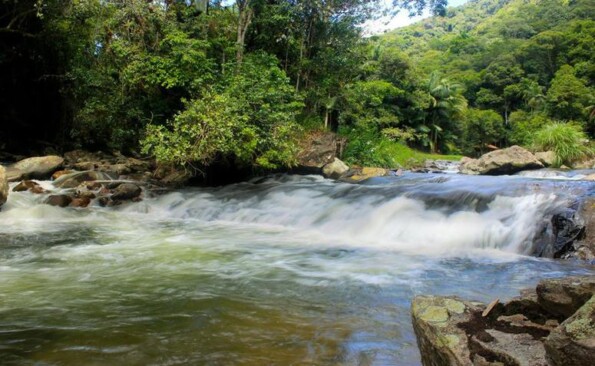 O que fazer em Blumenau: 25 pontos turísticos incríveis para visitar