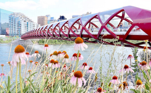 Calgary: guia completo da cidade mais apaixonante do Canadá
