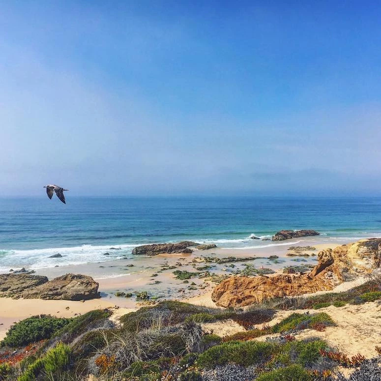 20 praias de Portugal que são lindíssimas e merecem a sua visita