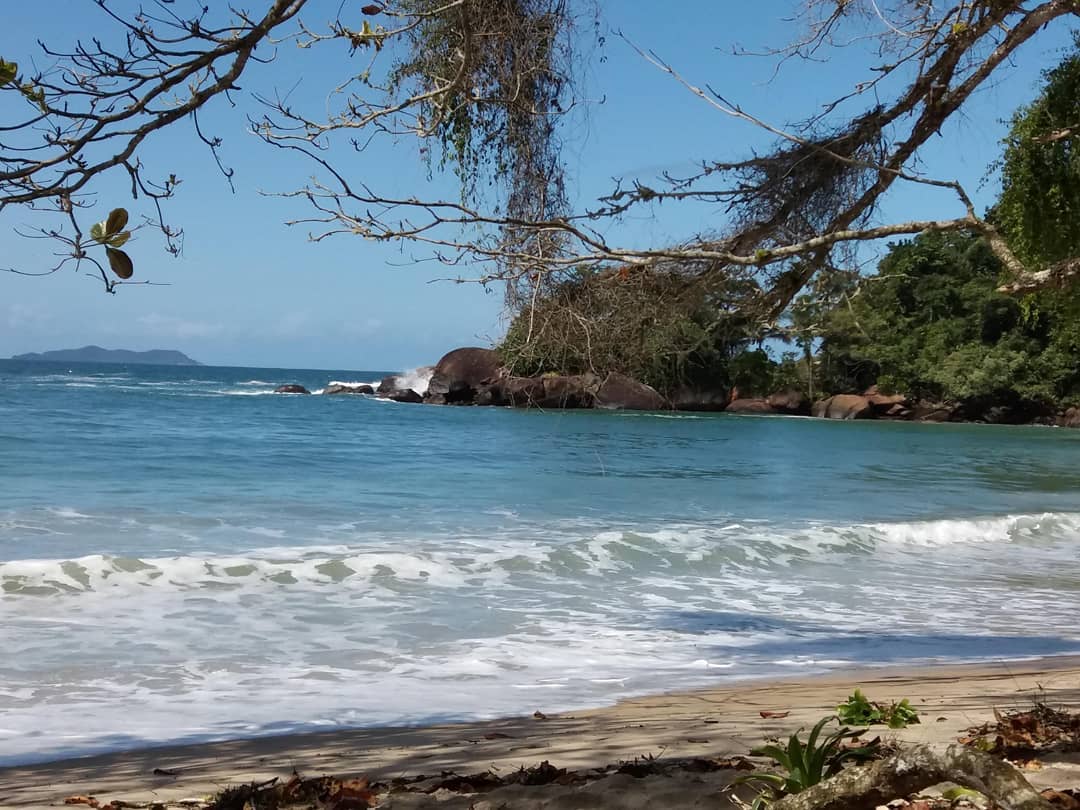 Praias de Ubatuba: 15 opções do litoral paulista para você se encantar