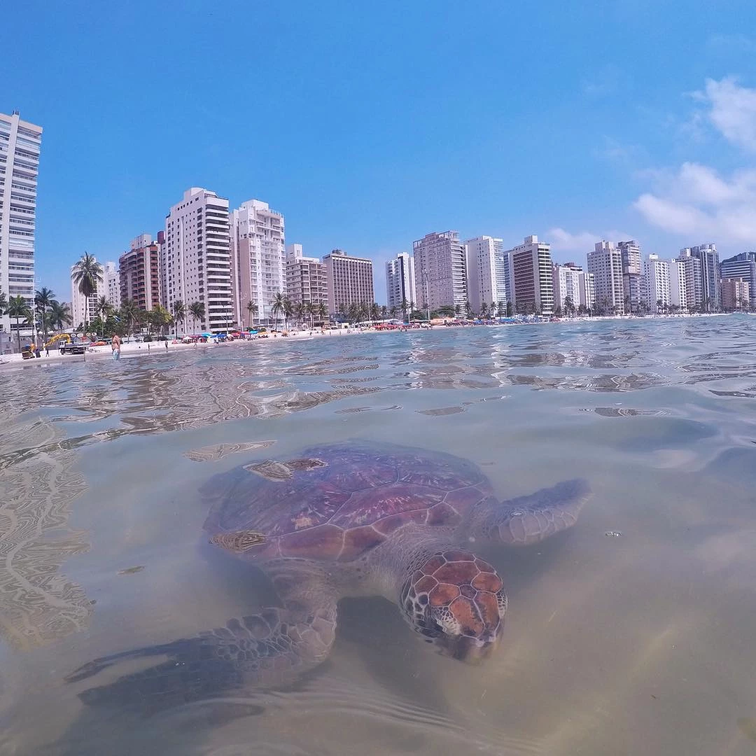 10 praias do Guarujá que você não pode deixar de conhecer