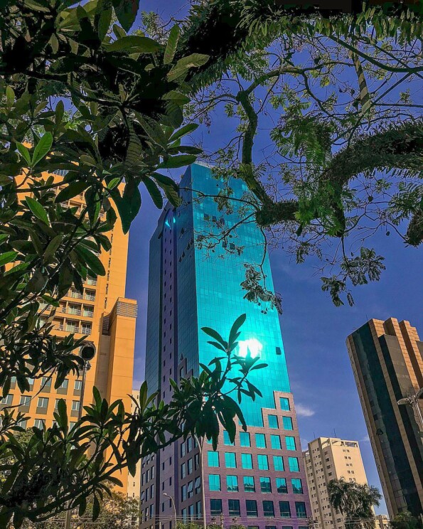 Moema (SP): o que fazer e onde comer neste atraente bairro paulistano