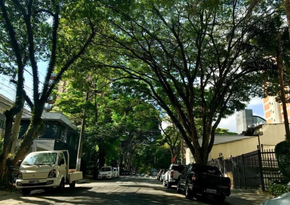 Moema (SP): o que fazer e onde comer neste atraente bairro paulistano