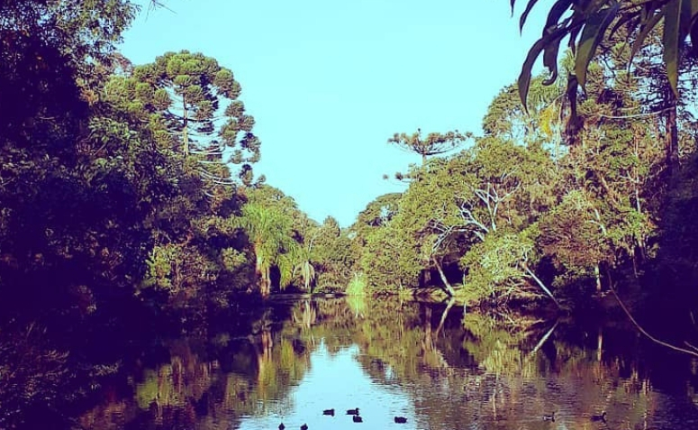 12 parques de Curitiba que você vai adorar conhecer