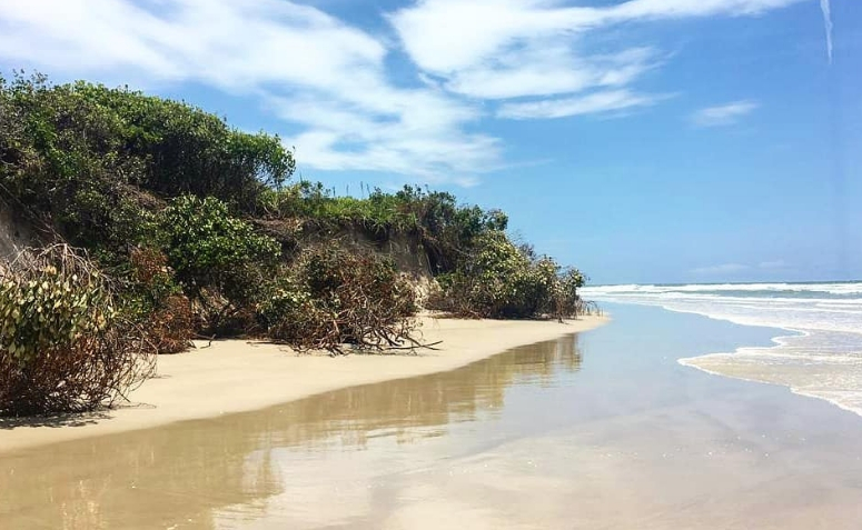 Cananéia: história e natureza no litoral de São Paulo (GUIA)