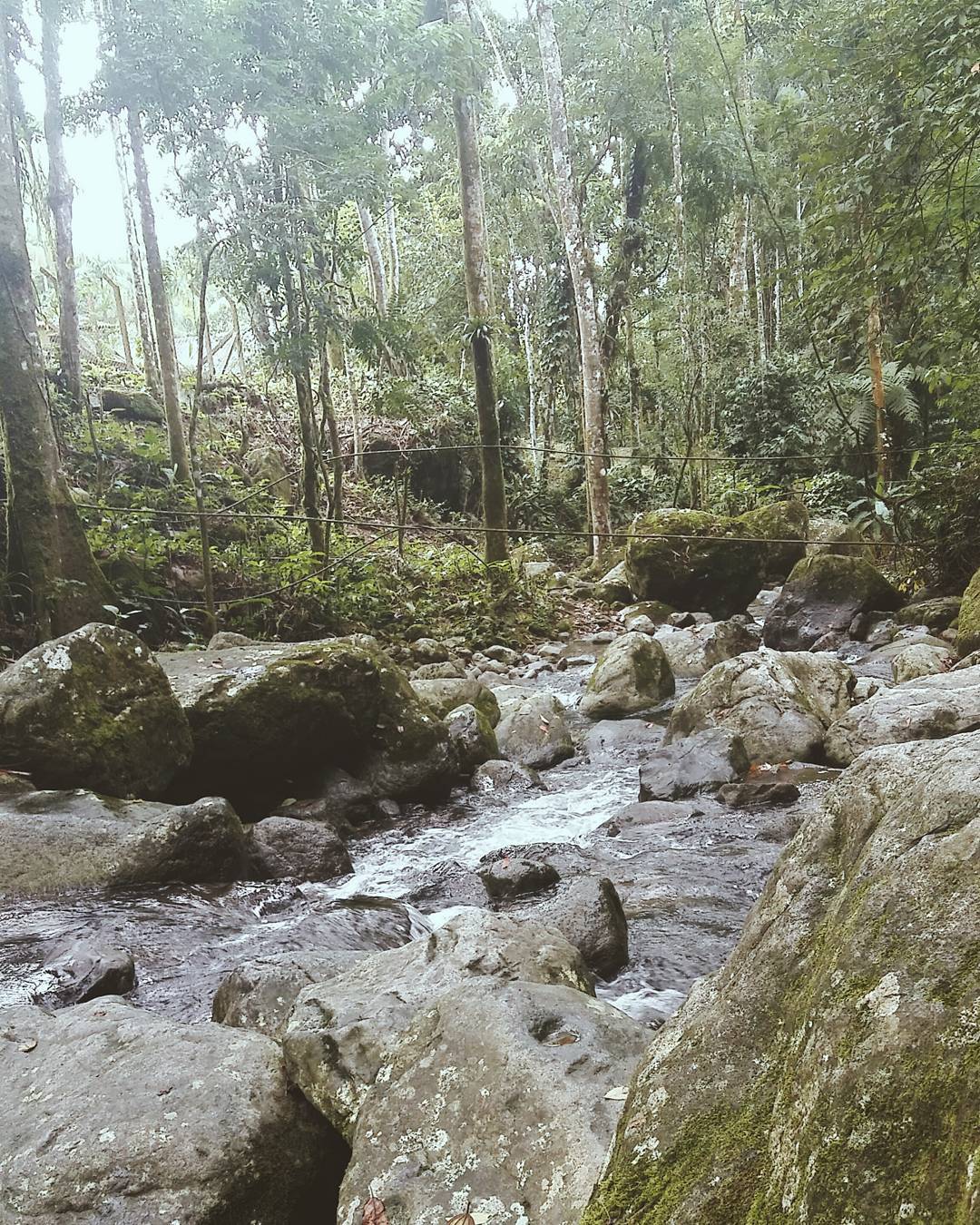 Penedo (RJ): os melhores passeios e 6 top pousadas