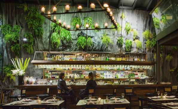 Perdizes (SP): o bairro que reúne natureza, arte e gastronomia