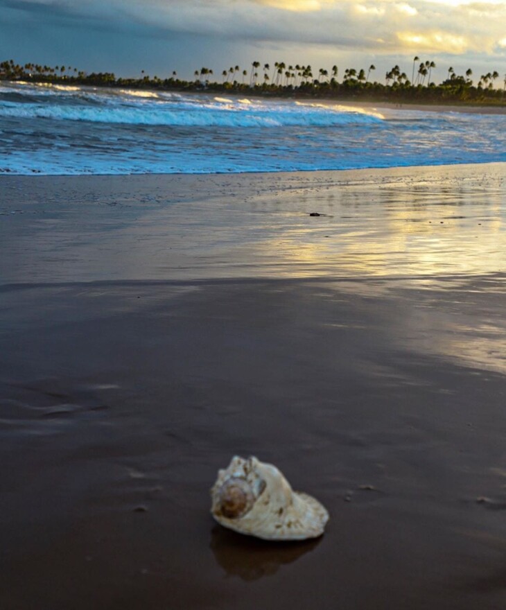 Itacimirim: por que incluir essa praia do Litoral Norte baiano no seu ...