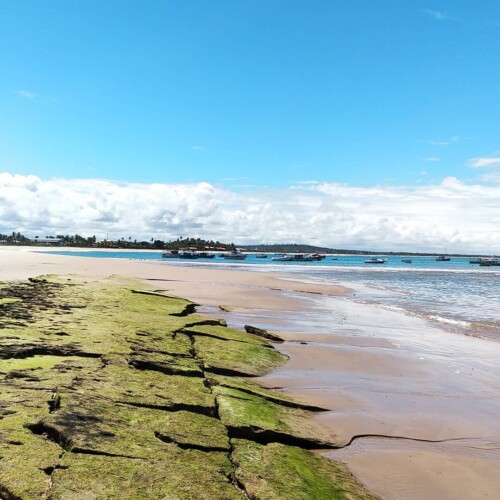Itacimirim: por que incluir essa praia do Litoral Norte baiano no seu ...