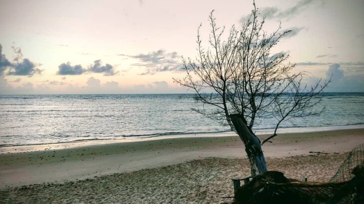 Itacimirim: por que incluir essa praia do Litoral Norte baiano no seu ...