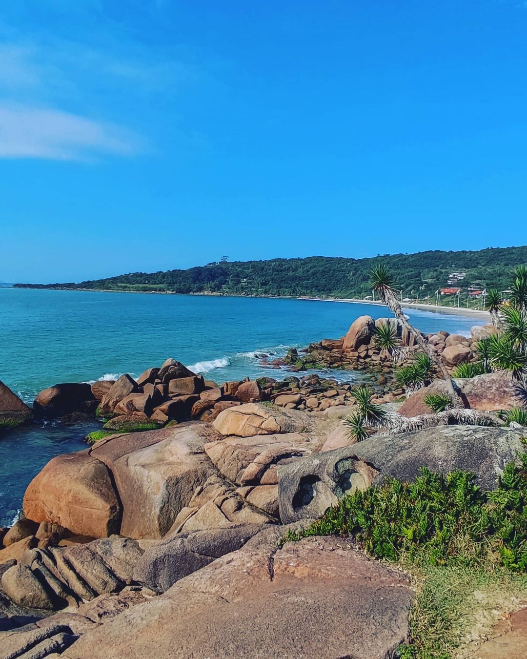 Praia da Pinheira: conheça os principais atrativos do paraíso catarinense