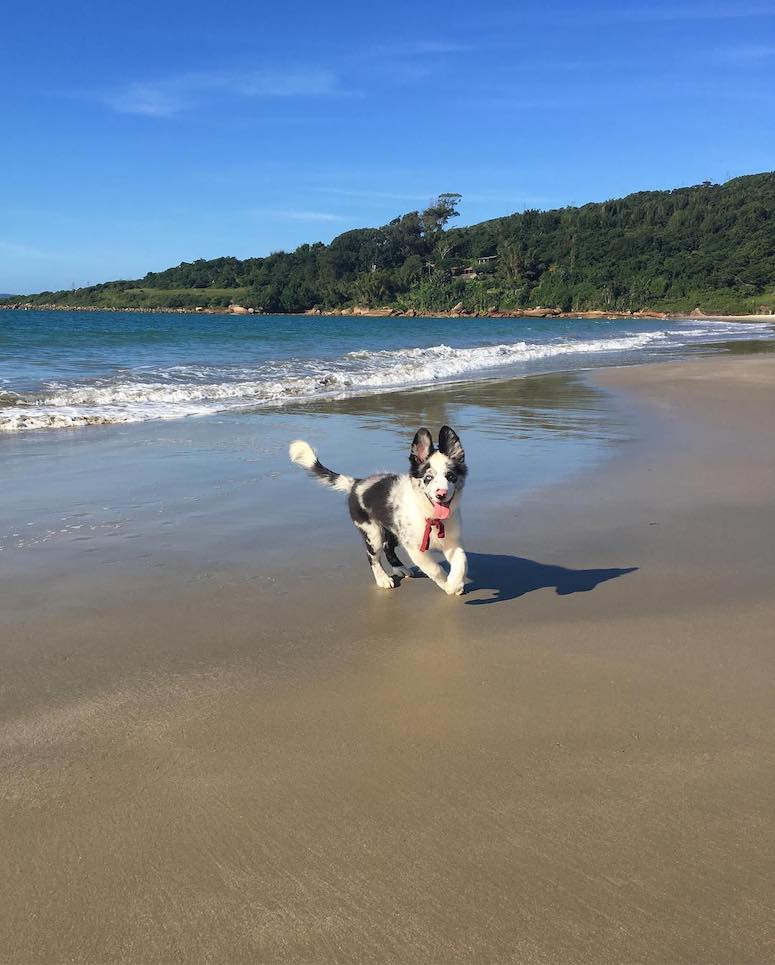 Praia da Pinheira: conheça os principais atrativos do paraíso catarinense