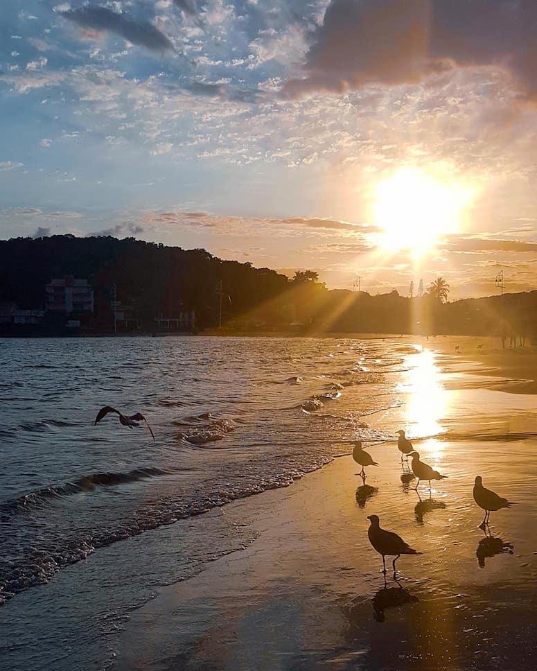Praia da Pinheira: conheça os principais atrativos do paraíso catarinense
