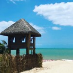 Cumbuco: como chegar e o que fazer nesse paraíso cearense