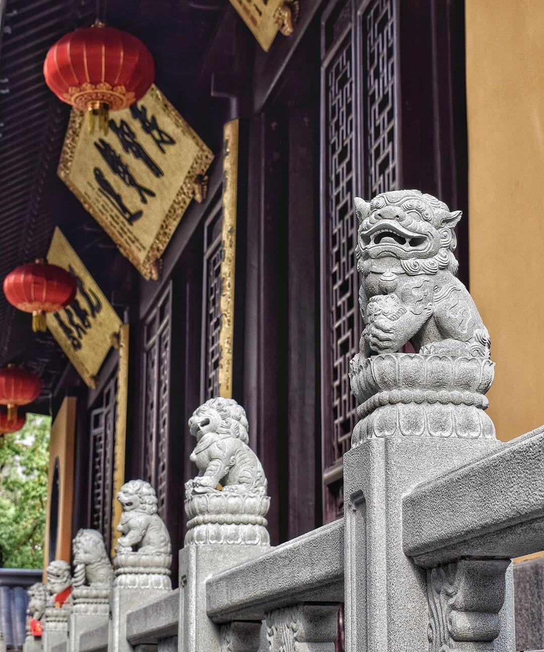Xangai: guia completo para conhecer a maior cidade da China