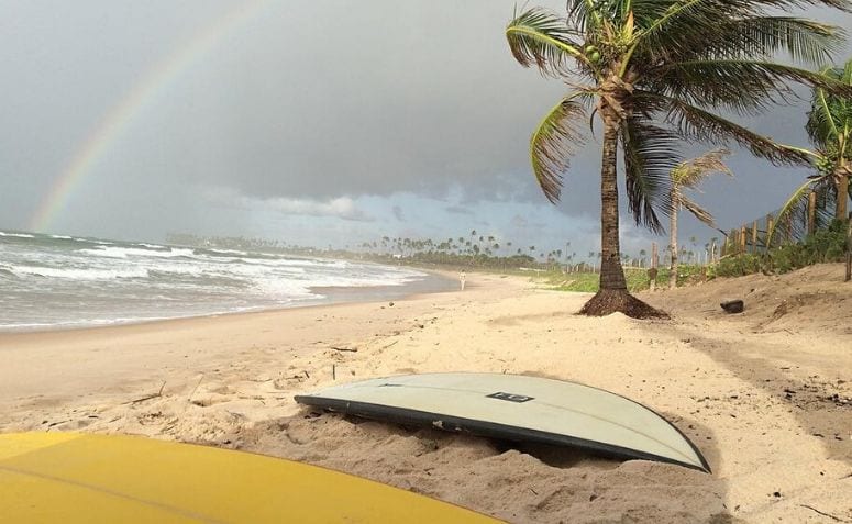 Praia do Forte: guia completo do que fazer nesse paraíso