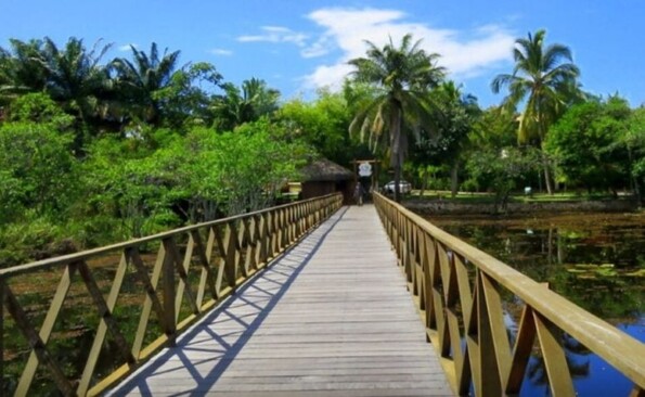 Praia do Forte: guia completo do que fazer nesse paraíso