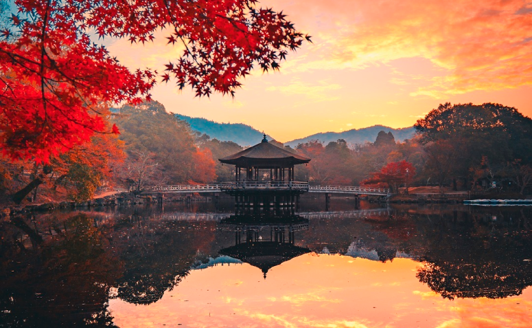 Nara: como chegar e o que fazer na primeira capital do Japão