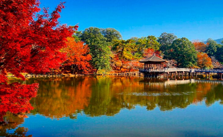 Nara: como chegar e o que fazer na primeira capital do Japão