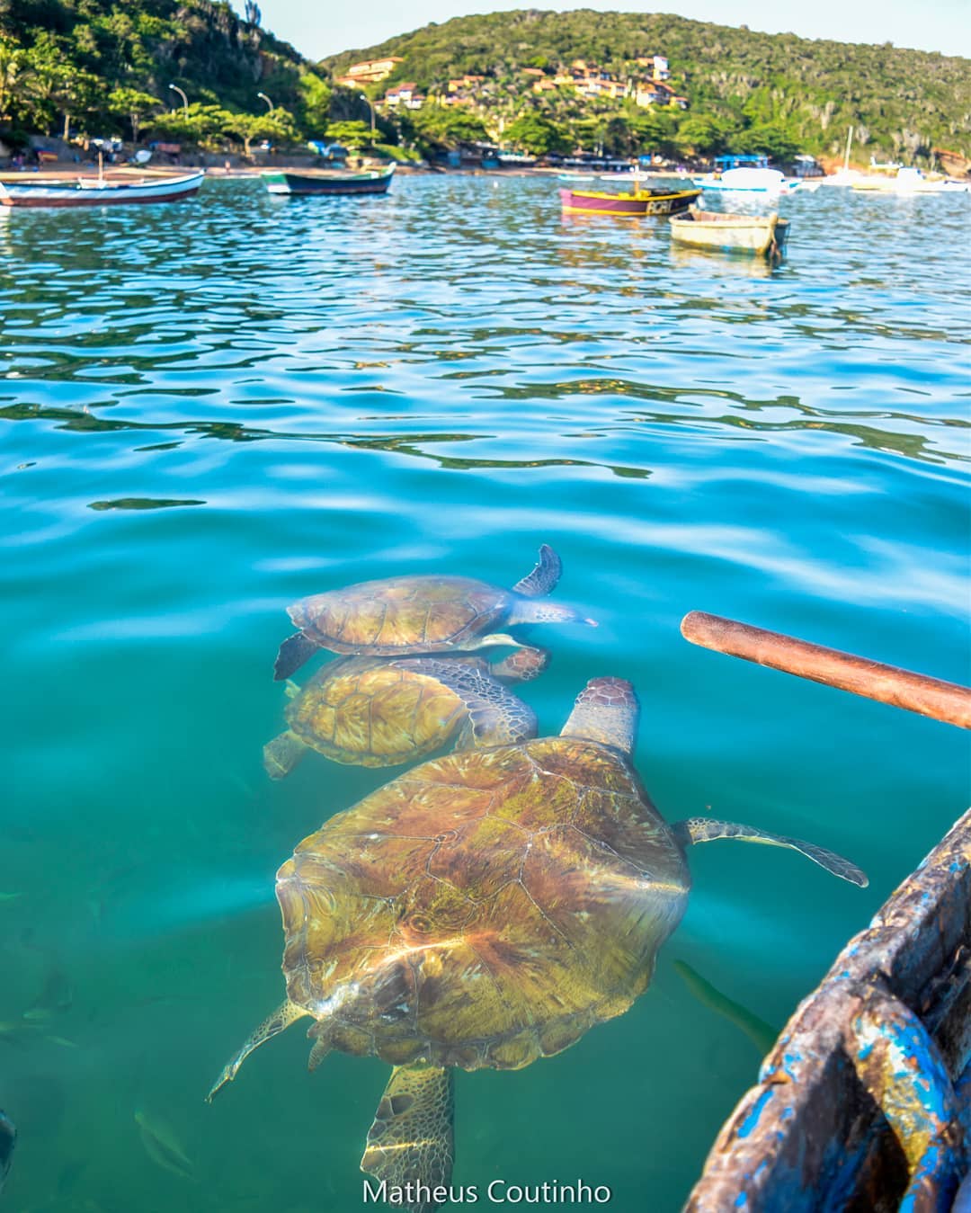 15 fotos de Búzios que mostram os encantos desse paraíso [DICAS]