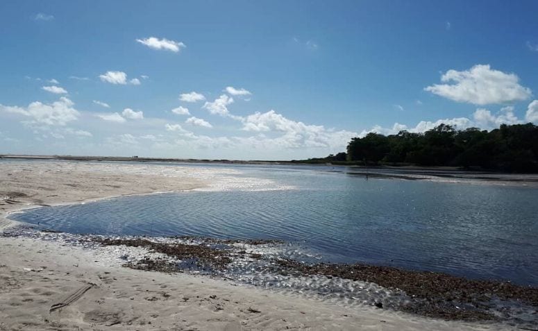 Ilha de Itamaracá: conheça os encantos do litoral de Pernambuco