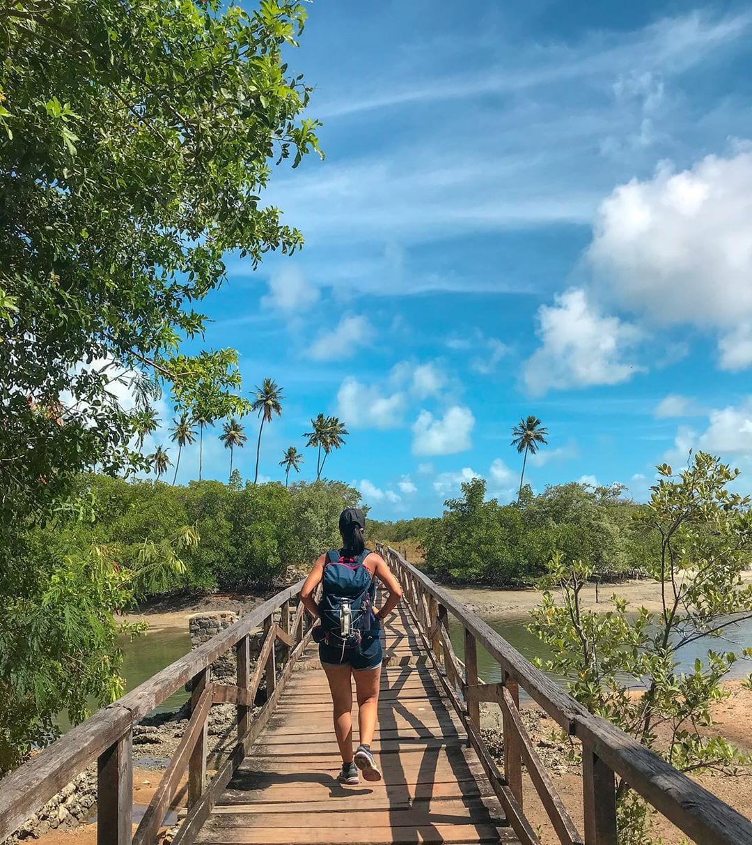 Ilha de Itamaracá: conheça os encantos do litoral de Pernambuco