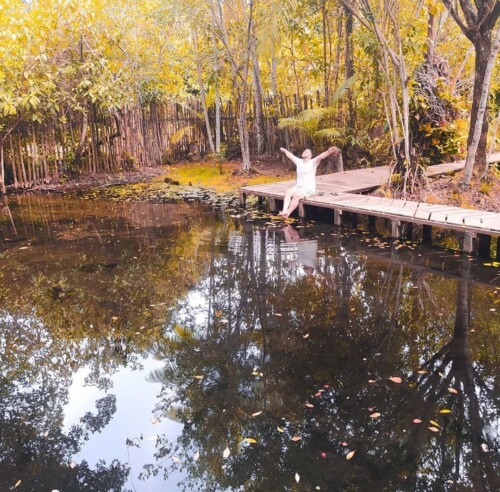 Parintins: conheça o festival folclórico e esse paraíso amazônico