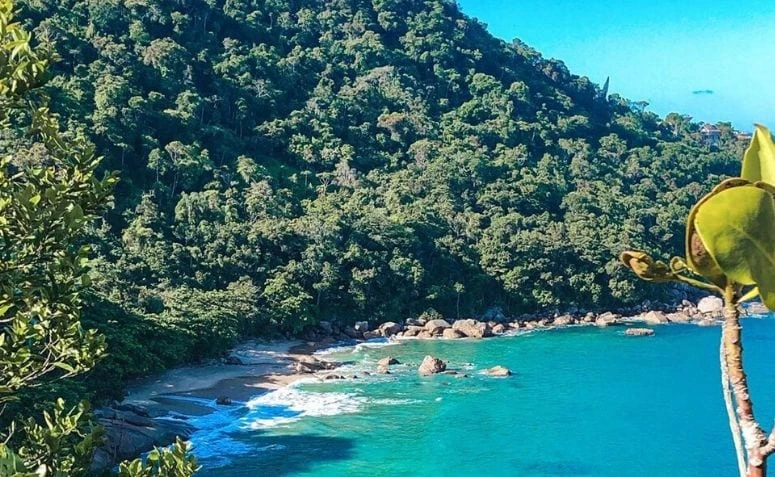 Melhores Praias de Ubatuba: 25 orlas imperdíveis do litoral paulista