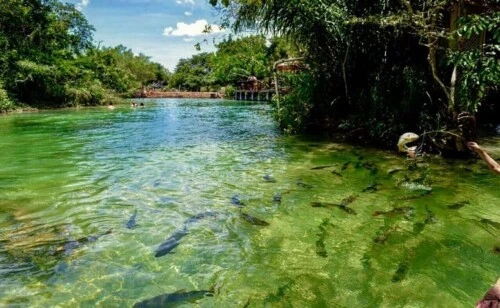 Passeios em Bonito: 15 atrações turísticas que você vai amar conhecer