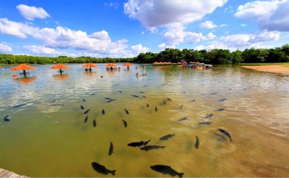 Passeios em Bonito: 15 atrações turísticas que você vai amar conhecer