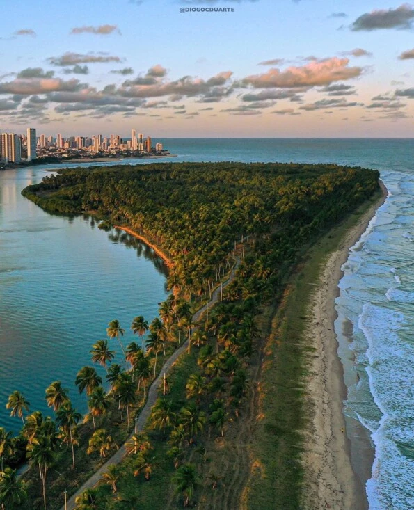 Praias de Recife: 10 dos melhores destinos do litoral de Pernambuco