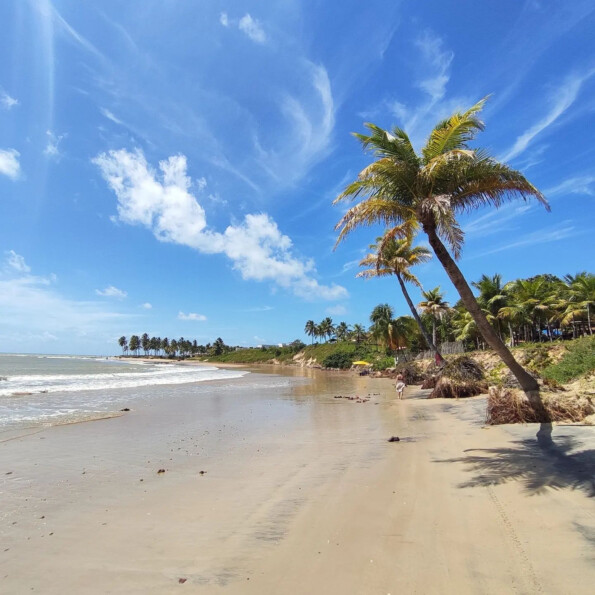 Maracajaú: 9 melhores opções de passeios para se divertir