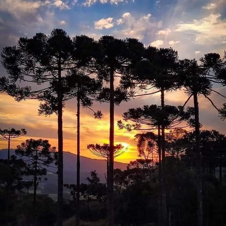 Morro Reuter: conheça e se apaixone por essa linda cidade gaúcha