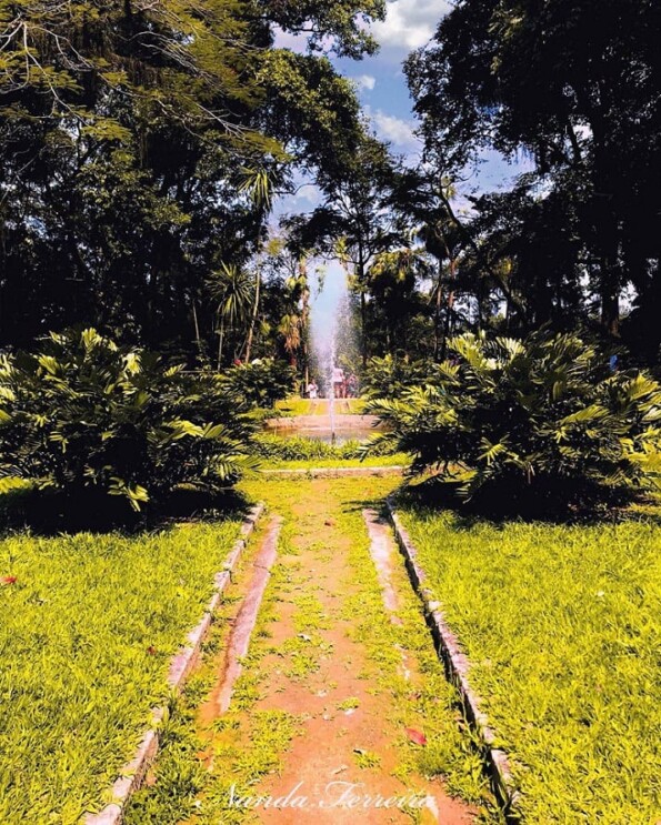 Parque Lage: guia completo para visitar esse paraíso do Rio
